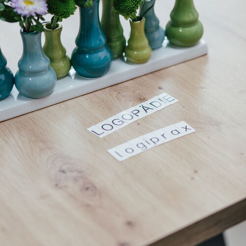 Ablauf und Kosten - Logiprax